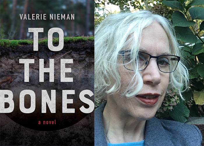 Learning to dig: A creative writer on her start as a journalist ...